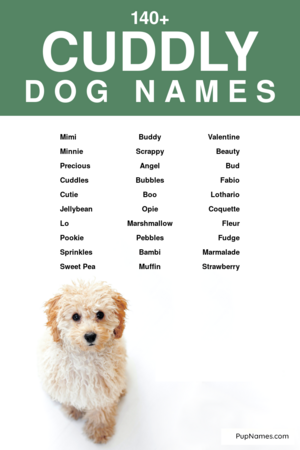 140+ Cuddly Dog Names (+ Meanings) | PupNames.com™