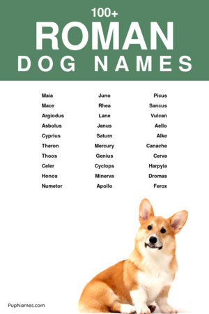 100+ Roman Dog Names (+ Meanings) | PupNames.com™