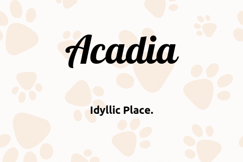 Acadia 🐶 - Dog Name Meaning & Popularity | PupNames.com™