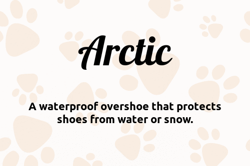 Arctic 🐶 - Dog Name Meaning & Popularity | PupNames.com™