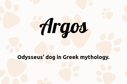 Argos 🐶 - Dog Name Meaning & Popularity | PupNames.com™