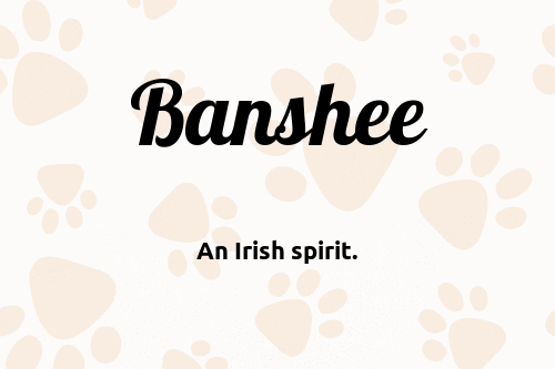 Banshee 🐶 - Dog Name Meaning & Popularity | PupNames.com™