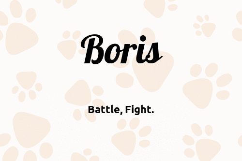 Boris 🐶 - Dog Name Meaning & Popularity | PupNames.com™