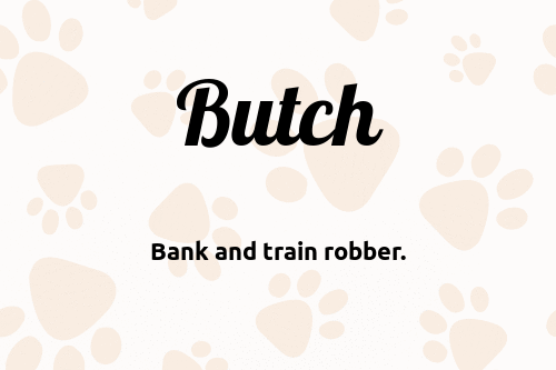 Butch 🐶 - Dog Name Meaning & Popularity | PupNames.com™