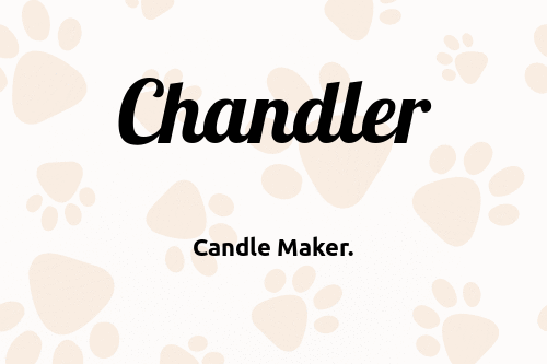 Chandler 🐶 - Dog Name Meaning & Popularity | PupNames.com™