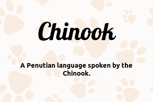 Chinook 🐶 - Dog Name Meaning & Popularity | PupNames.com™