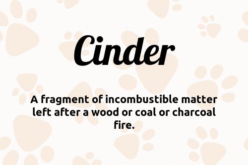 Cinder 🐶 - Dog Name Meaning & Popularity | PupNames.com™