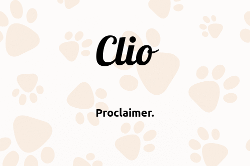 Clio 🐶 - Dog Name Meaning & Popularity | PupNames.com™