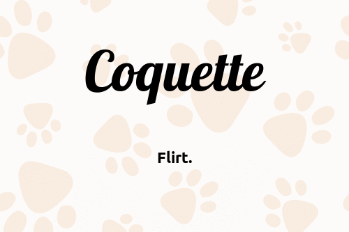 Coquette 🐶 - Dog Name Meaning & Popularity | PupNames.com™