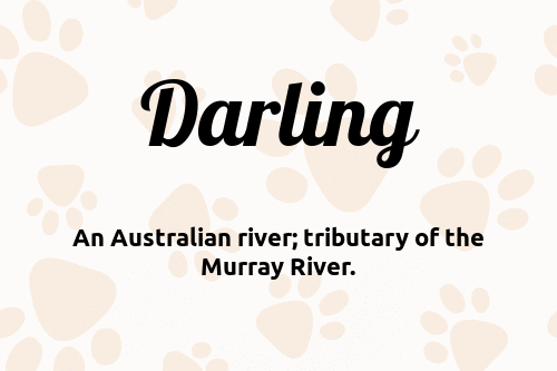 Darling Name Images