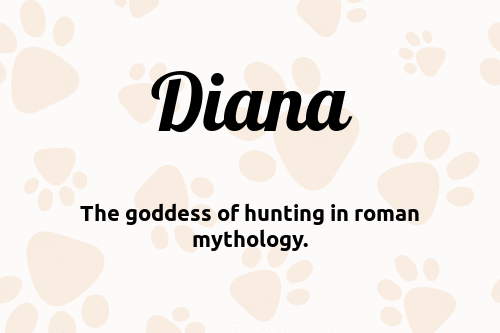 Diana 🐶 - Dog Name Meaning & Popularity | PupNames.com™