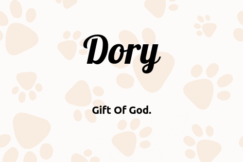 Dory 🐶 - Dog Name Meaning & Popularity | PupNames.com™