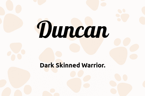 Duncan 🐶 - Dog Name Meaning & Popularity | PupNames.com™
