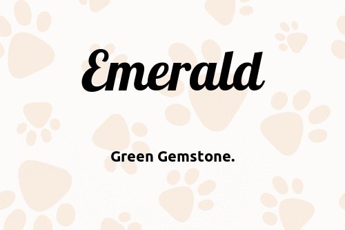Emerald 🐶 - Dog Name Meaning & Popularity | PupNames.com™