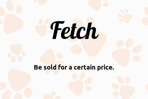 Fetch 🐶 - Dog Name Meaning & Popularity | PupNames.com™