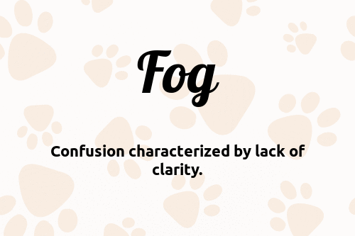 Fog 🐶 - Dog Name Meaning & Popularity | PupNames.com™