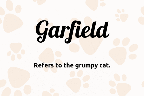 Garfield 🐶 - Dog Name Meaning & Popularity | PupNames.com™