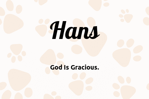 Hans 🐶 - Dog Name Meaning & Popularity | PupNames.com™