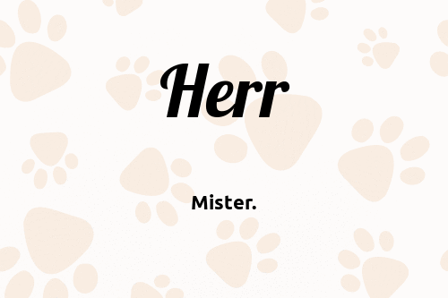 Herr 🐶 - Dog Name Meaning & Popularity | PupNames.com™