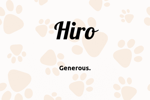 Hiro 🐶 - Dog Name Meaning & Popularity | PupNames.com™