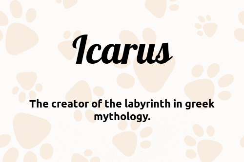 Icarus 🐶 - Dog Name Meaning & Popularity | PupNames.com™