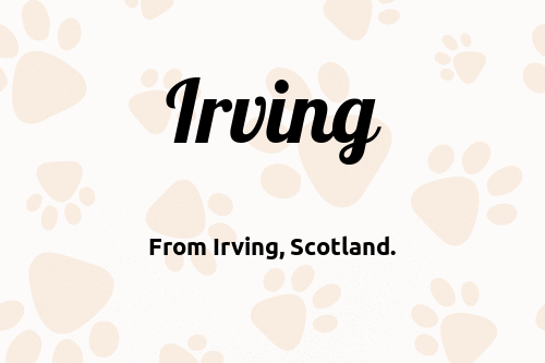Irving 🐶 - Dog Name Meaning & Popularity | PupNames.com™
