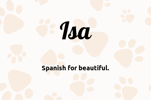 Isa 🐶 - Dog Name Meaning & Popularity | PupNames.com™