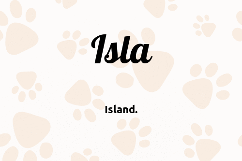 Isla 🐶 - Dog Name Meaning & Popularity | PupNames.com™