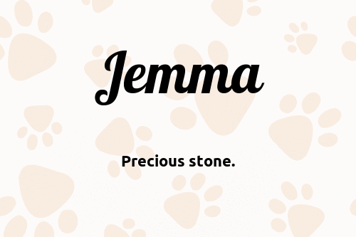 Jemma 🐶 - Dog Name Meaning & Popularity | PupNames.com™