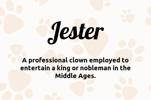 Jester 🐶 - Dog Name Meaning & Popularity | PupNames.com™