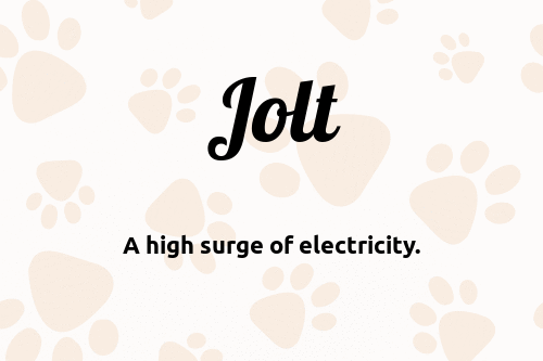 Jolt 🐶 - Dog Name Meaning & Popularity | PupNames.com™