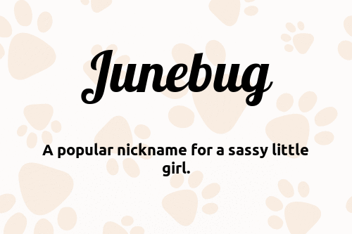 Junebug 🐶 - Dog Name Meaning & Popularity | PupNames.com™
