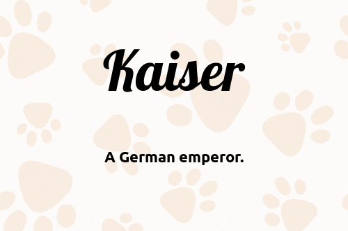 Kaiser 🐶 - Dog Name Meaning & Popularity | PupNames.com™