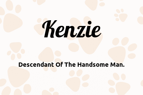 Kenzie 🐶 - Dog Name Meaning & Popularity | PupNames.com™