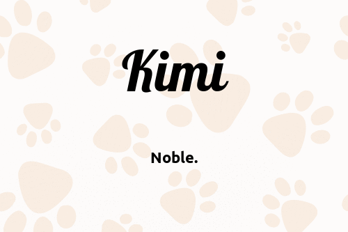 Kimi 🐶 - Dog Name Meaning & Popularity | PupNames.com™