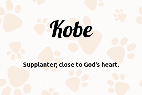 Kobe 🐶 - Dog Name Meaning & Popularity | PupNames.com™