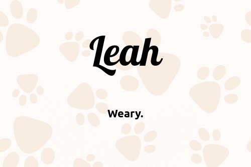 Leah 🐶 - Dog Name Meaning & Popularity | PupNames.com™