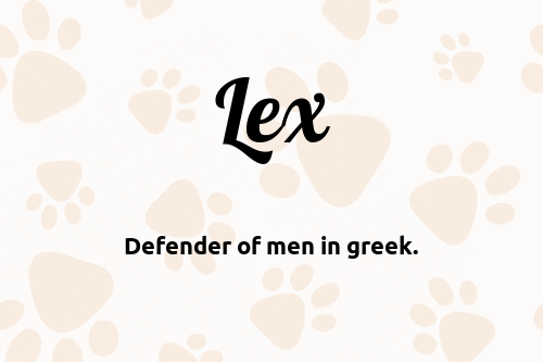 Lex 🐶 - Dog Name Meaning & Popularity | PupNames.com™