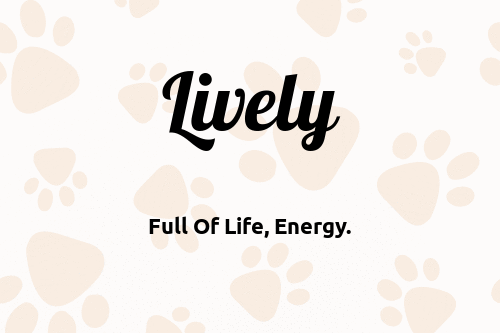 Lively 🐶 - Dog Name Meaning & Popularity | PupNames.com™