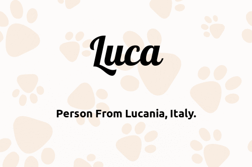 Luca 🐶 - Dog Name Meaning & Popularity | PupNames.com™