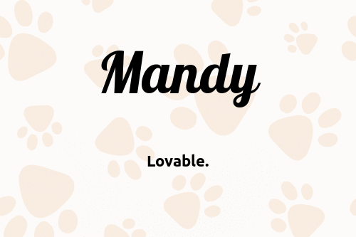 Mandy 🐶 - Dog Name Meaning & Popularity | PupNames.com™