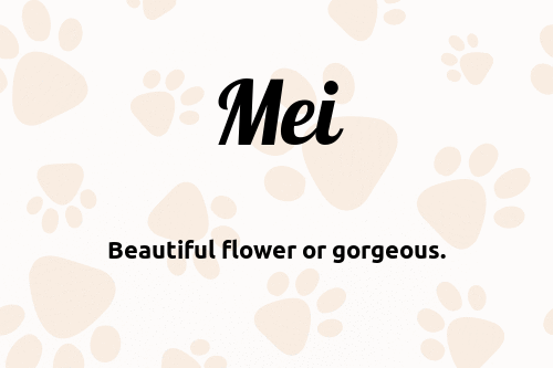 Mei 🐶 - Dog Name Meaning & Popularity | PupNames.com™