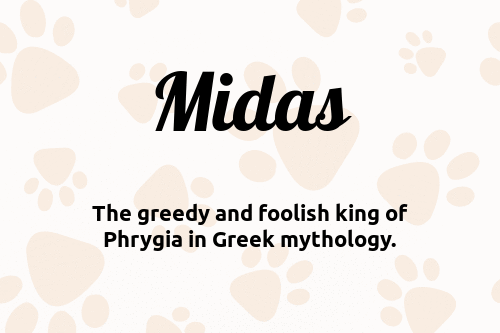 Midas 🐶 - Dog Name Meaning & Popularity | PupNames.com™
