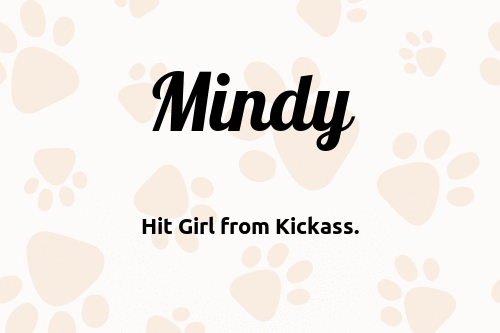 Mindy 🐶 - Dog Name Meaning & Popularity | PupNames.com™