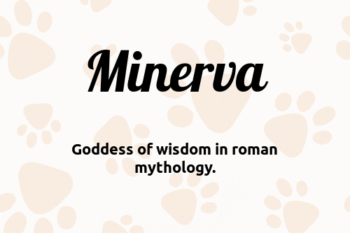Minerva 🐶 - Dog Name Meaning & Popularity | PupNames.com™