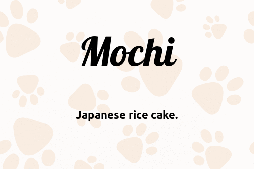 Mochi 🐶 - Dog Name Meaning & Popularity | PupNames.com™