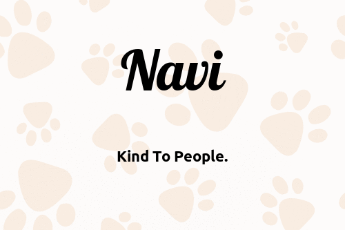 Navi 🐶 - Dog Name Meaning & Popularity | PupNames.com™
