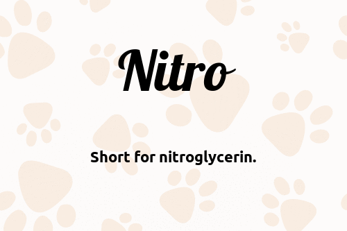 Nitro 🐶 - Dog Name Meaning & Popularity | PupNames.com™
