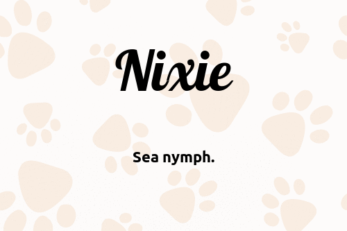 Nixie 🐶 - Dog Name Meaning & Popularity | PupNames.com™