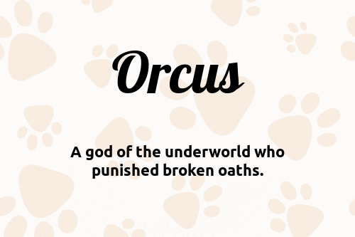 Orcus 🐶 - Dog Name Meaning & Popularity | PupNames.com™
